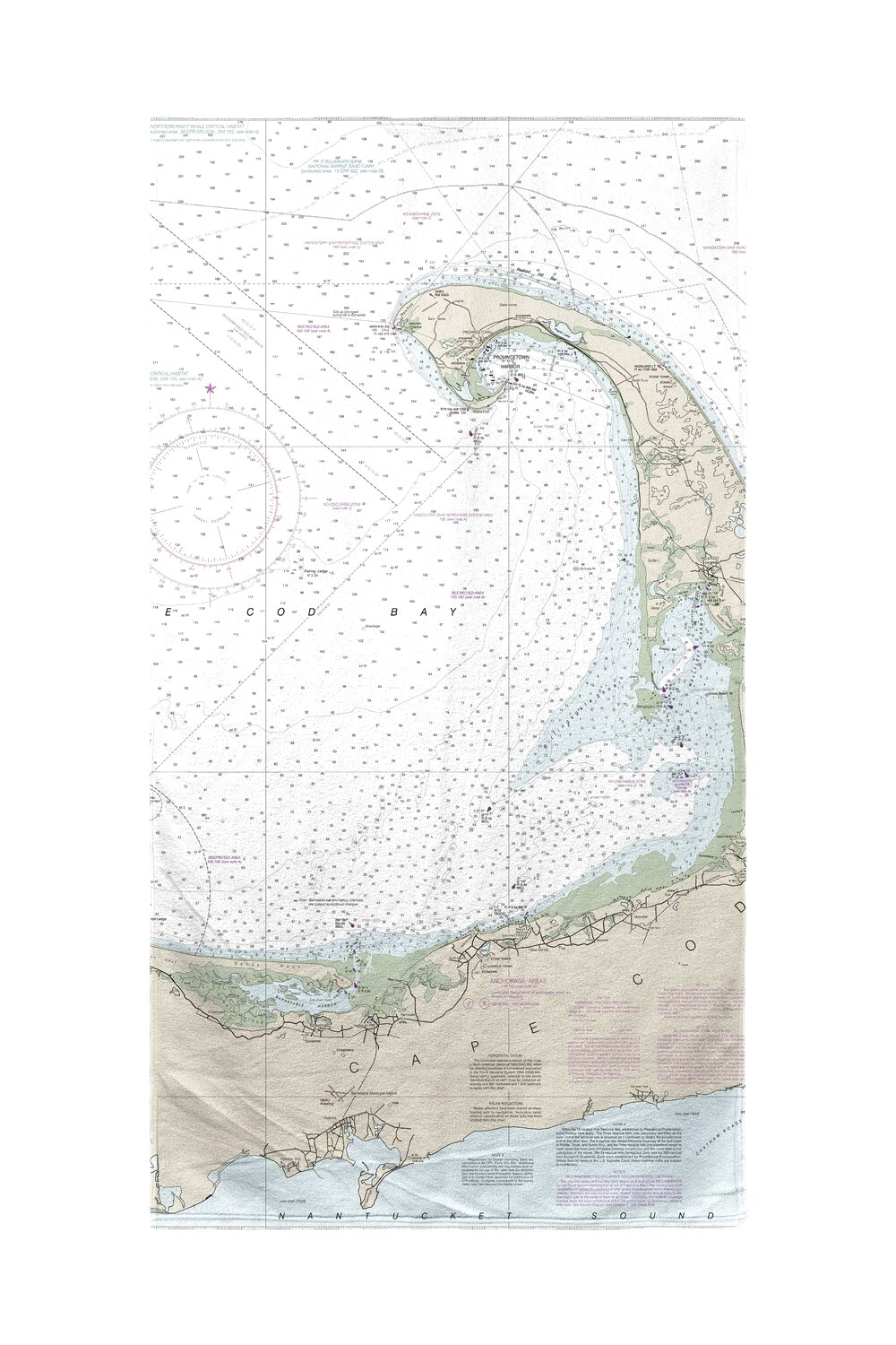 Betsy Drake Cape Cod Bay, MA Nautical Map Beach Towel | Michaels