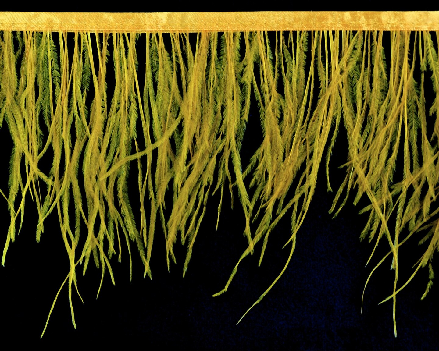 Belagio Ostrich Feather Trim, 6" Wide, Toffee | Michaels