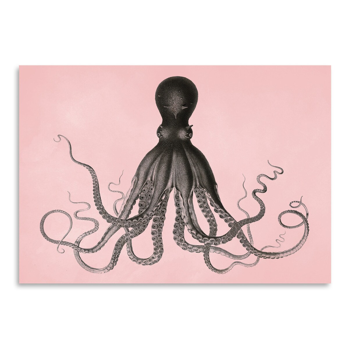 Mil Pink Choco Octo by Coastal Print & Design Poster Art Print ...