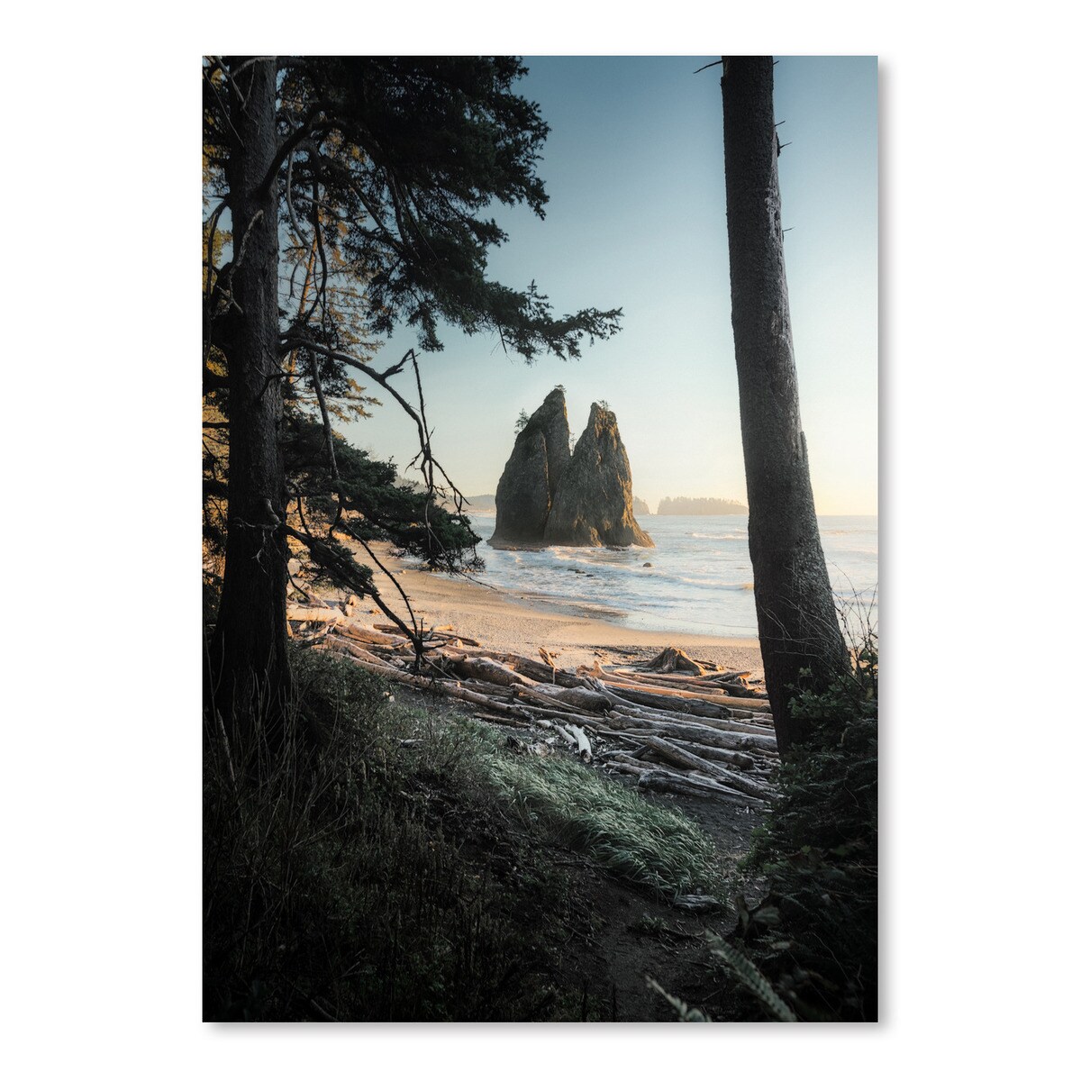 Coastal Frame by Torrey Merritt Poster Art Print - Americanflat | Michaels