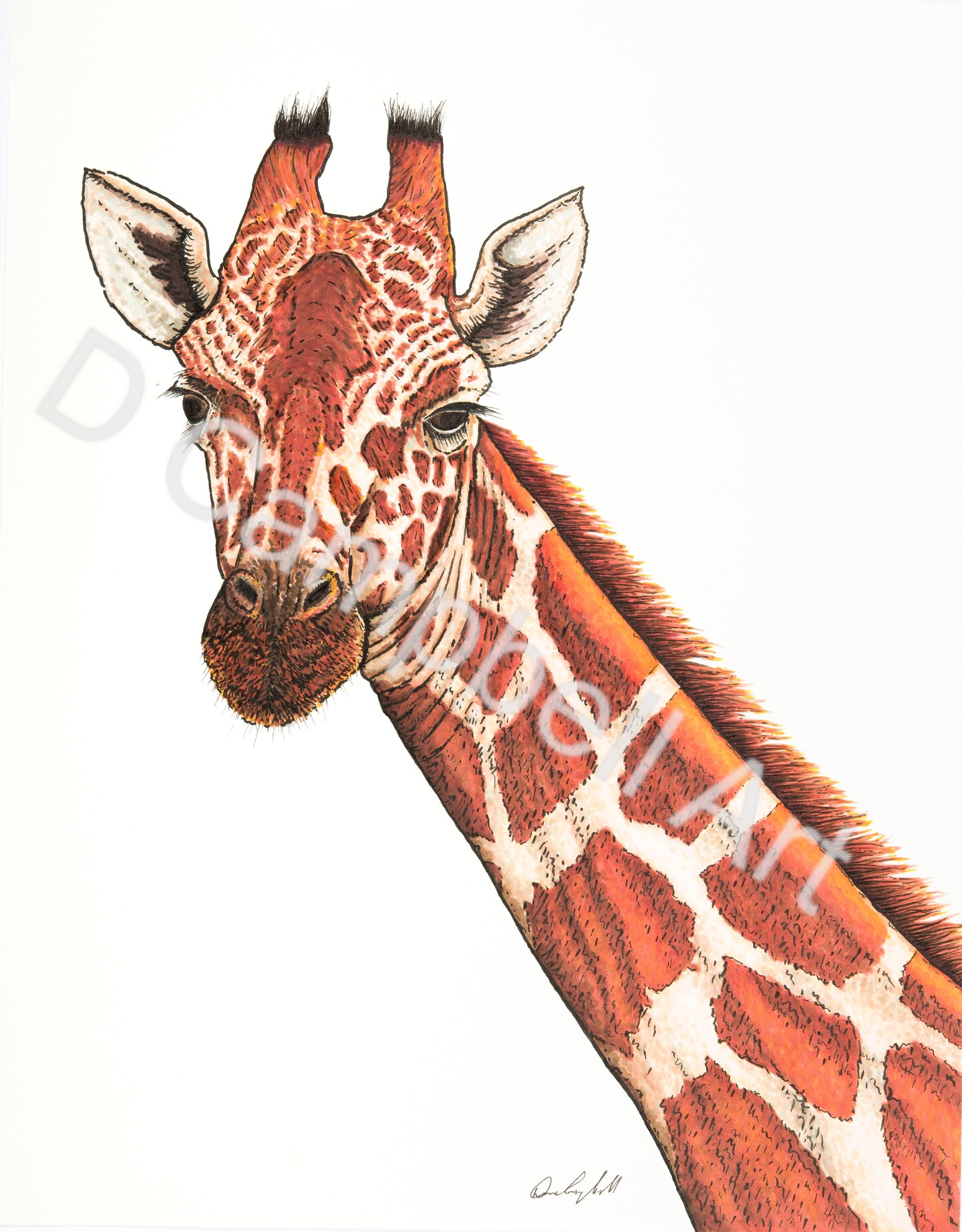 A Giraffe Ink Print | MakerPlace by Michaels