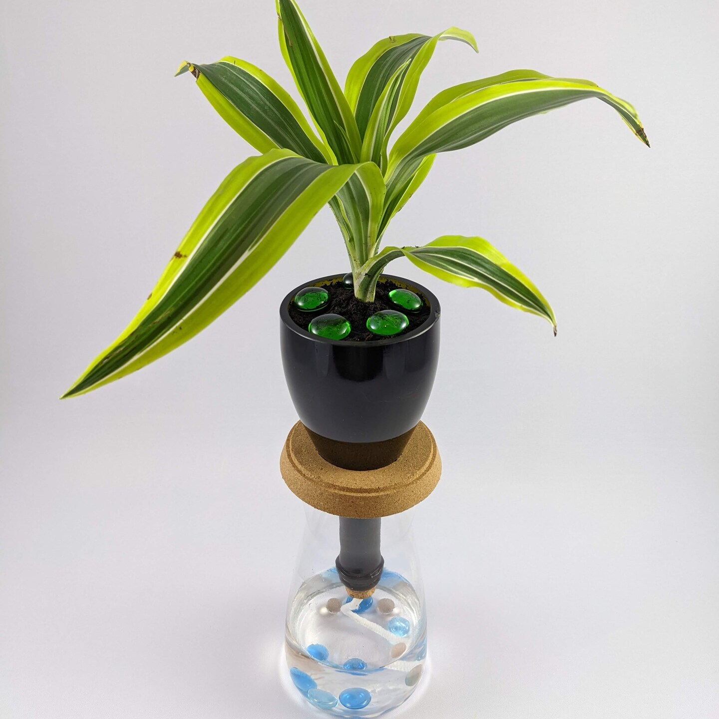 Bottles Delight | Storefront | Michaels