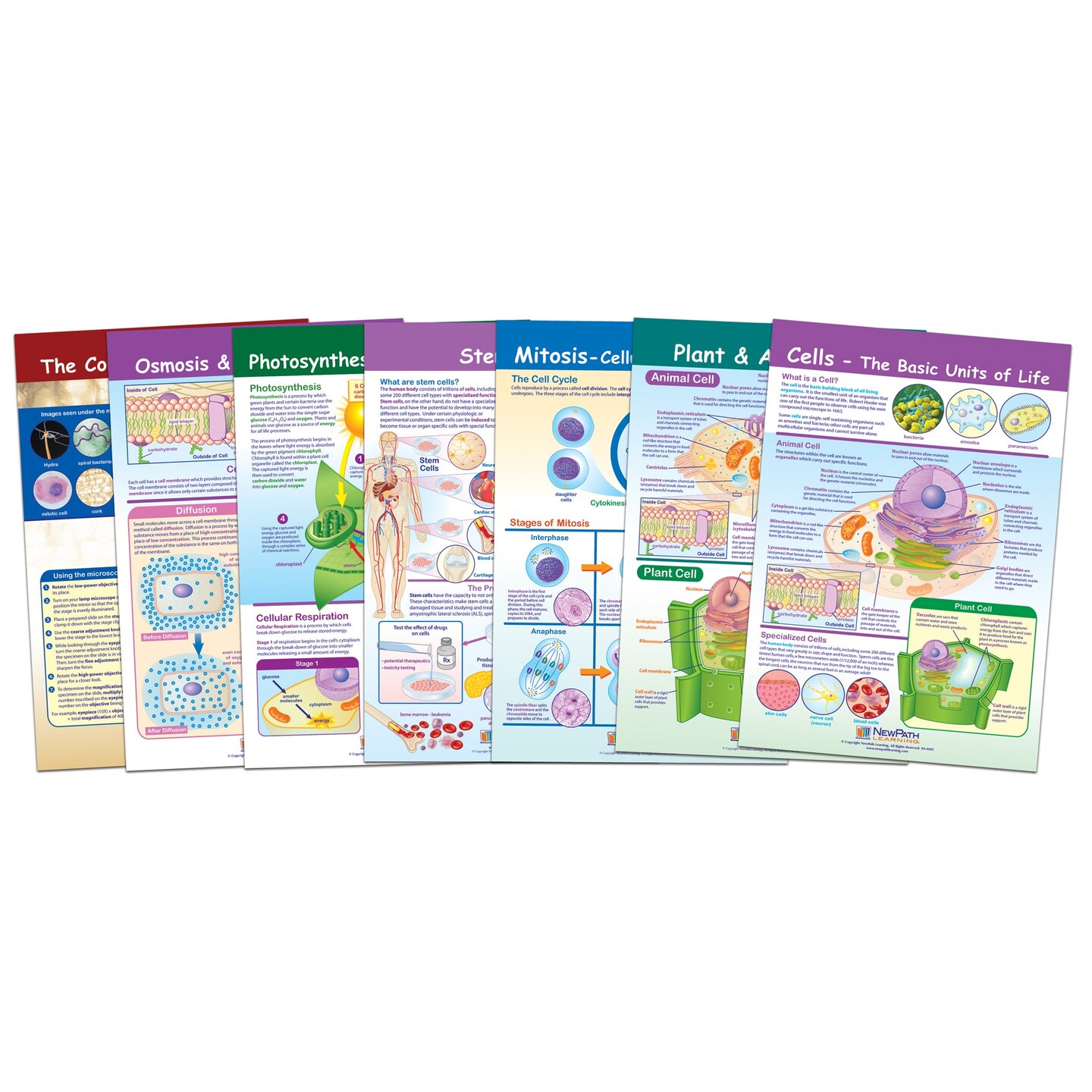 Cells Bulletin Board Chart Set, Grades 3-5 | Michaels