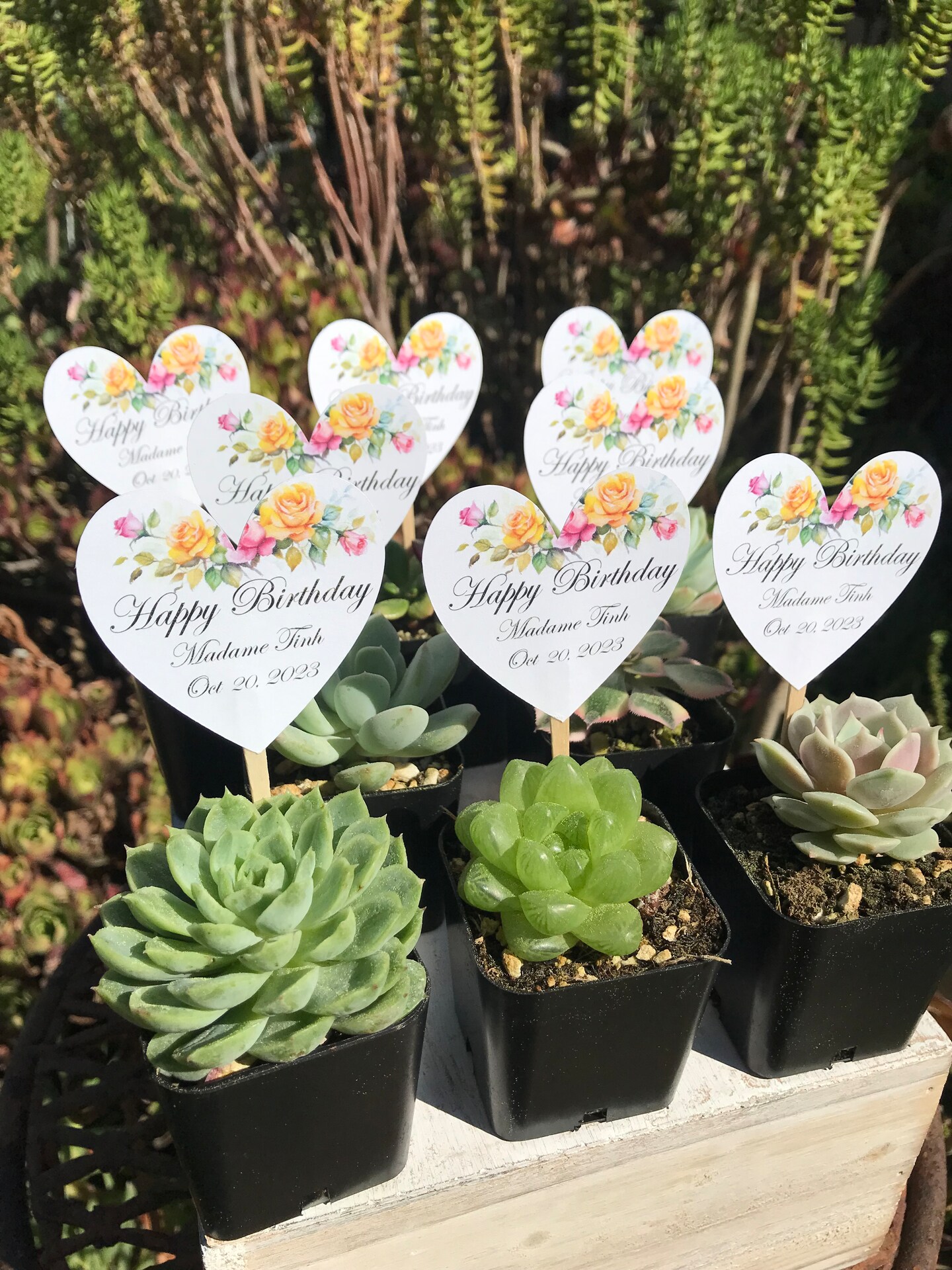 Heart Shape Happy Birthday Favors - Party Favors Tags - Birthday ...