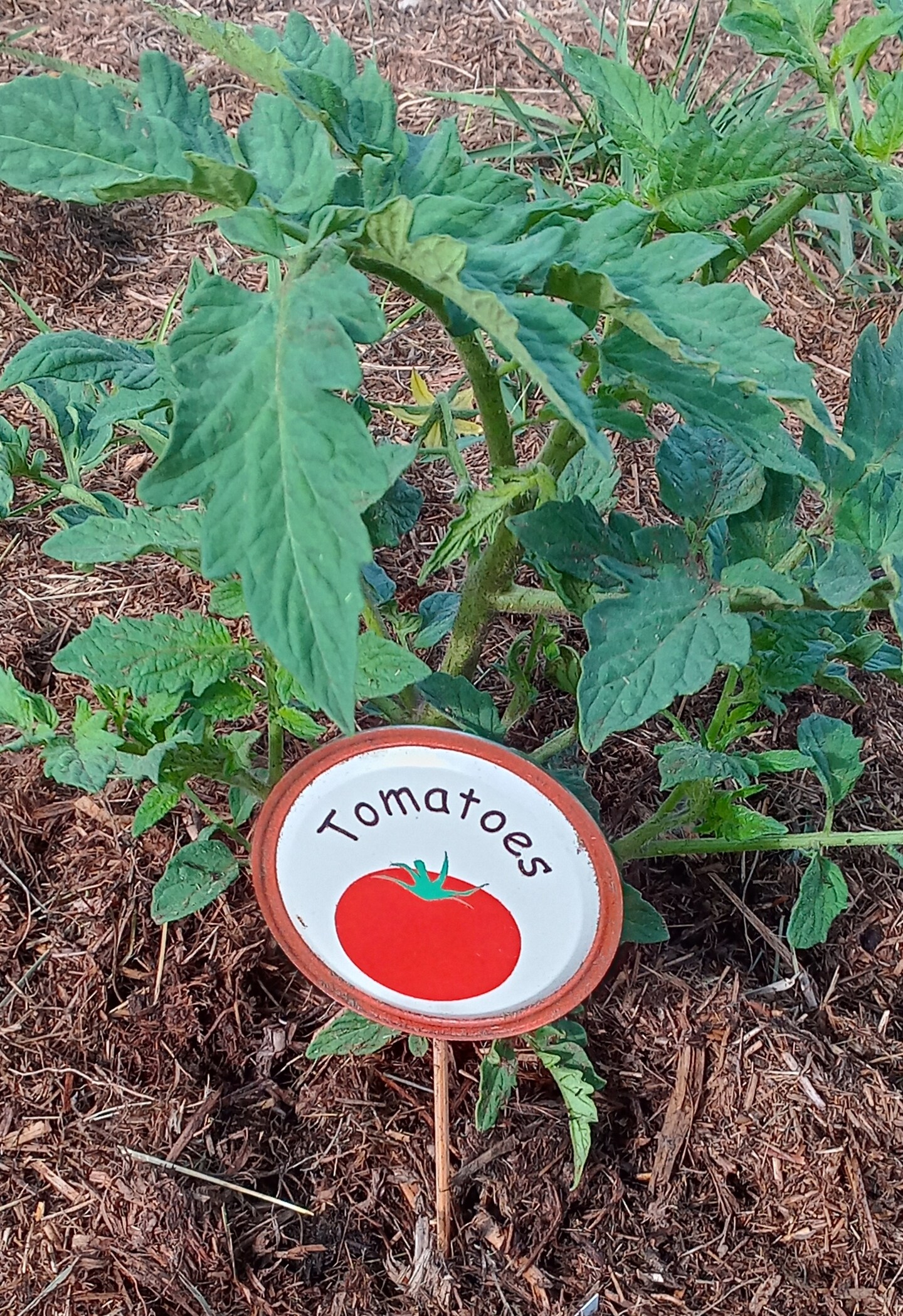 Garden Markers | MakerPlace by Michaels