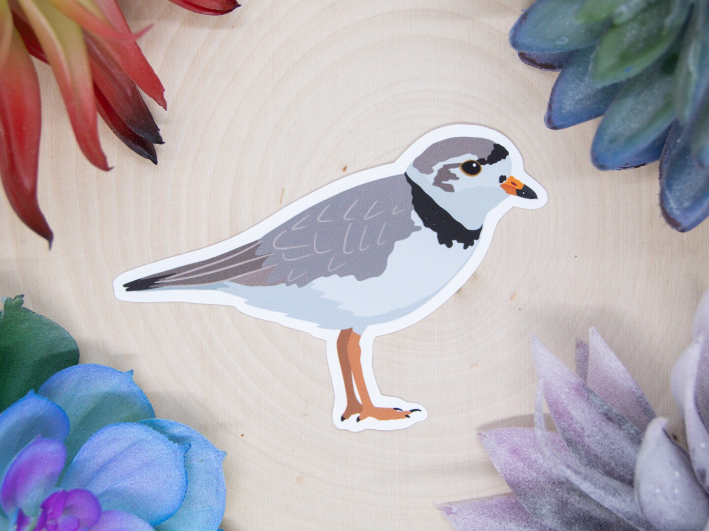 Piping Plover Sticker, Piping Plover Decal, Piping Plover Art ...