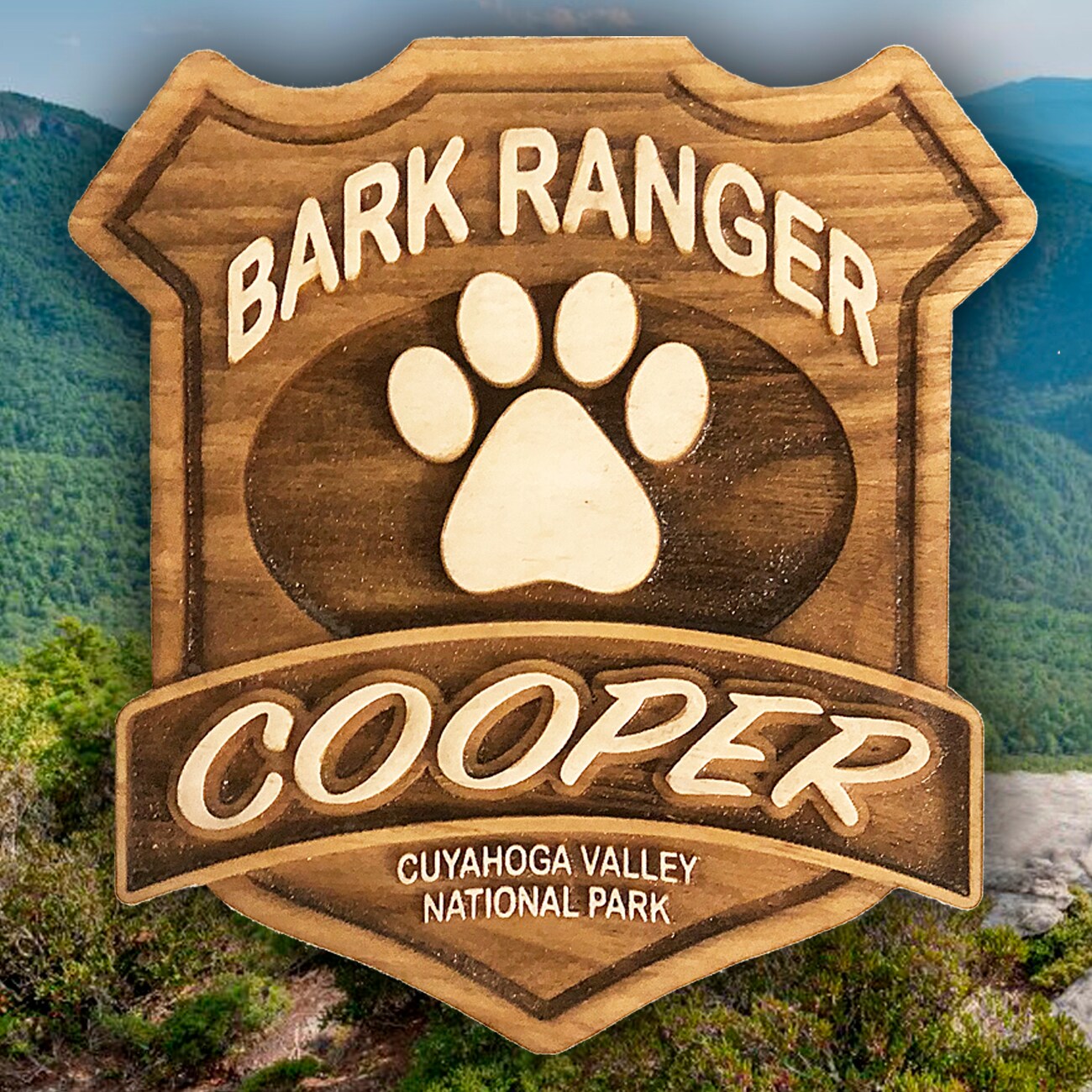 Bark Ranger Engraved Sign | MakerPlace by Michaels
