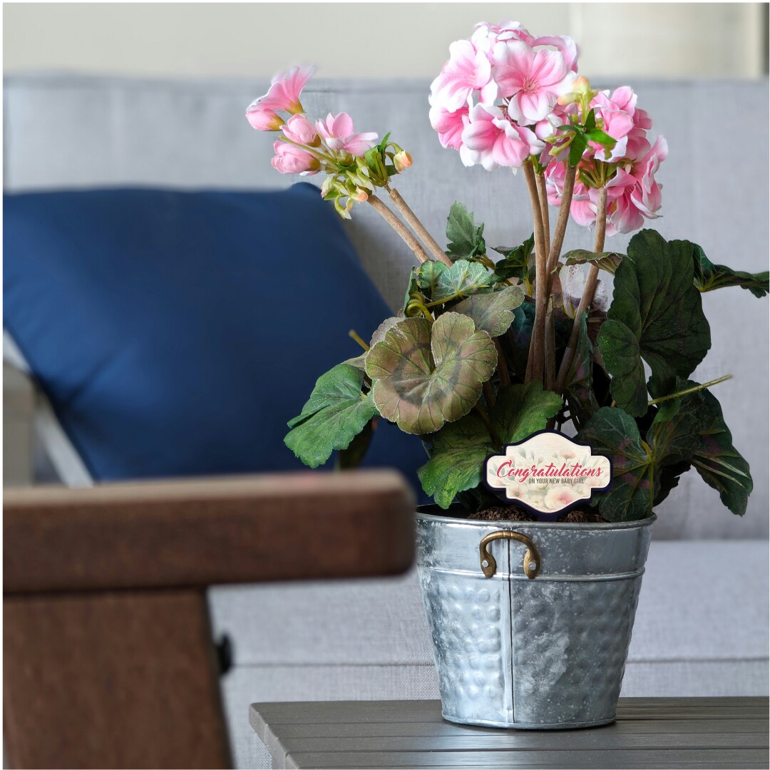 Flower Pot Markers - New Baby | Michaels