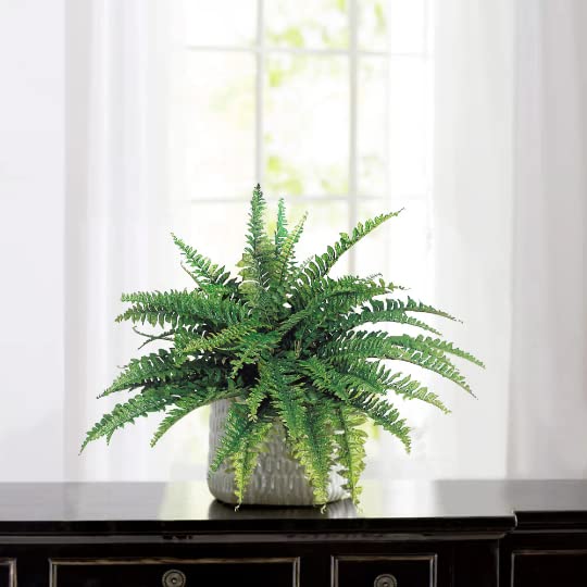 Premium Boston Fern x50, 34"D 2/PC: Lifelike Faux Greenery for Home ...