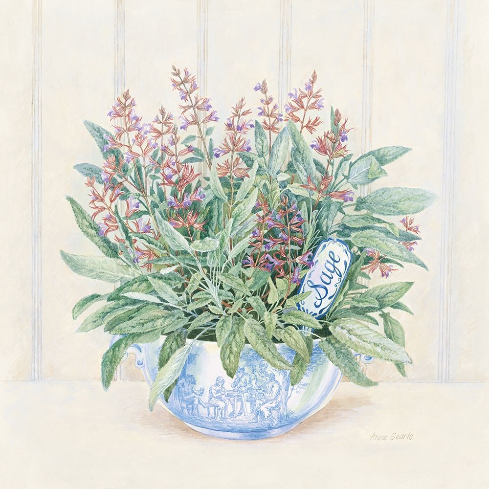 Sage Poster Print by Anne Searle # 9362 | Michaels
