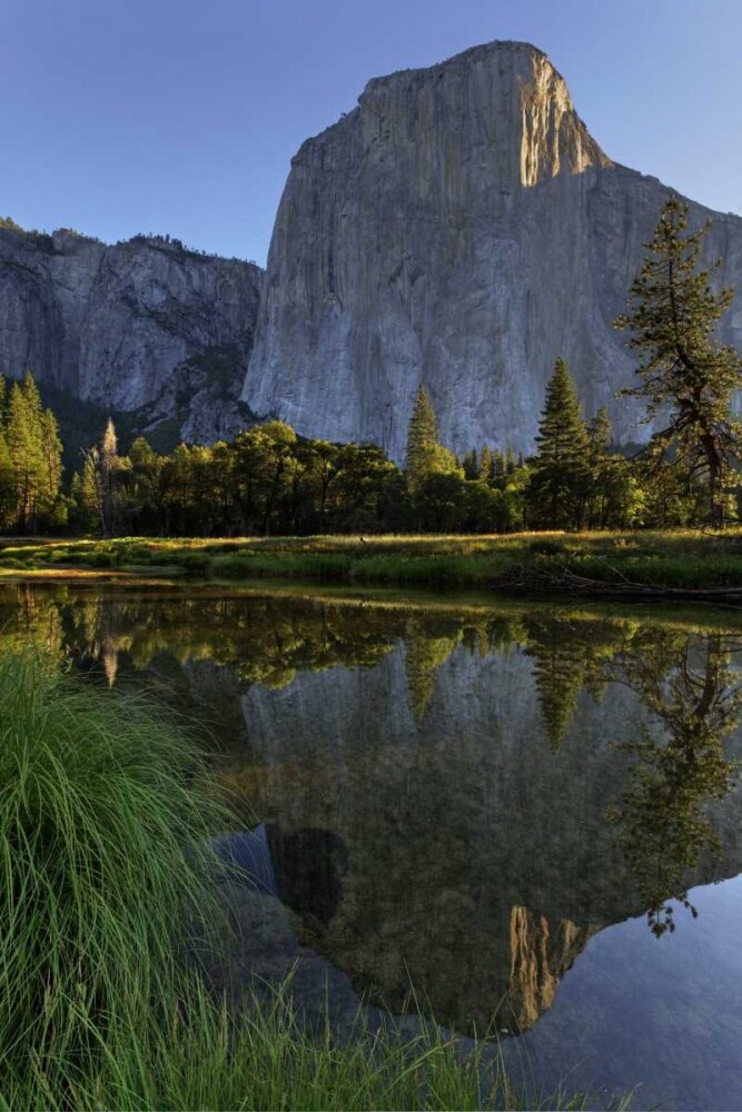 California, Yosemite El Capitan and Merced River by Dennis Flaherty ...