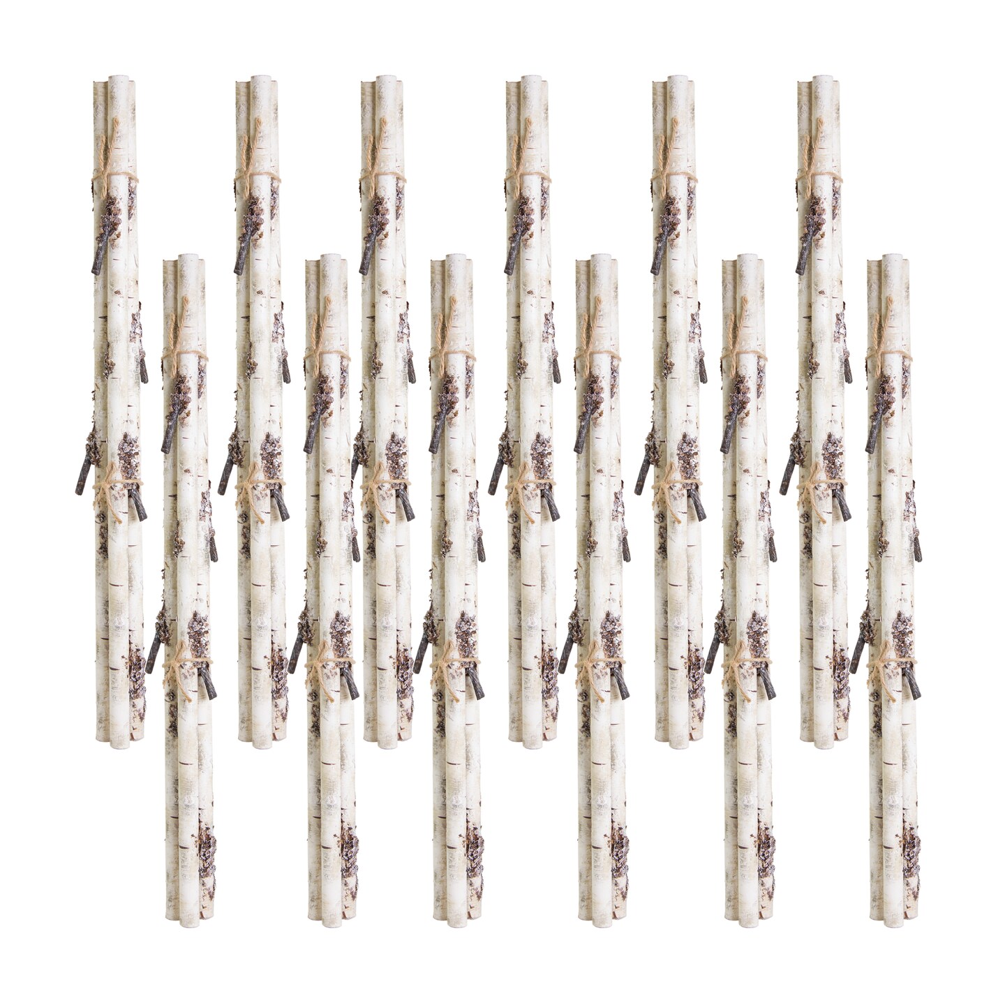 Contemporary Home Living Pack of 12 White PVC Birch Branch Bundle 19 ...