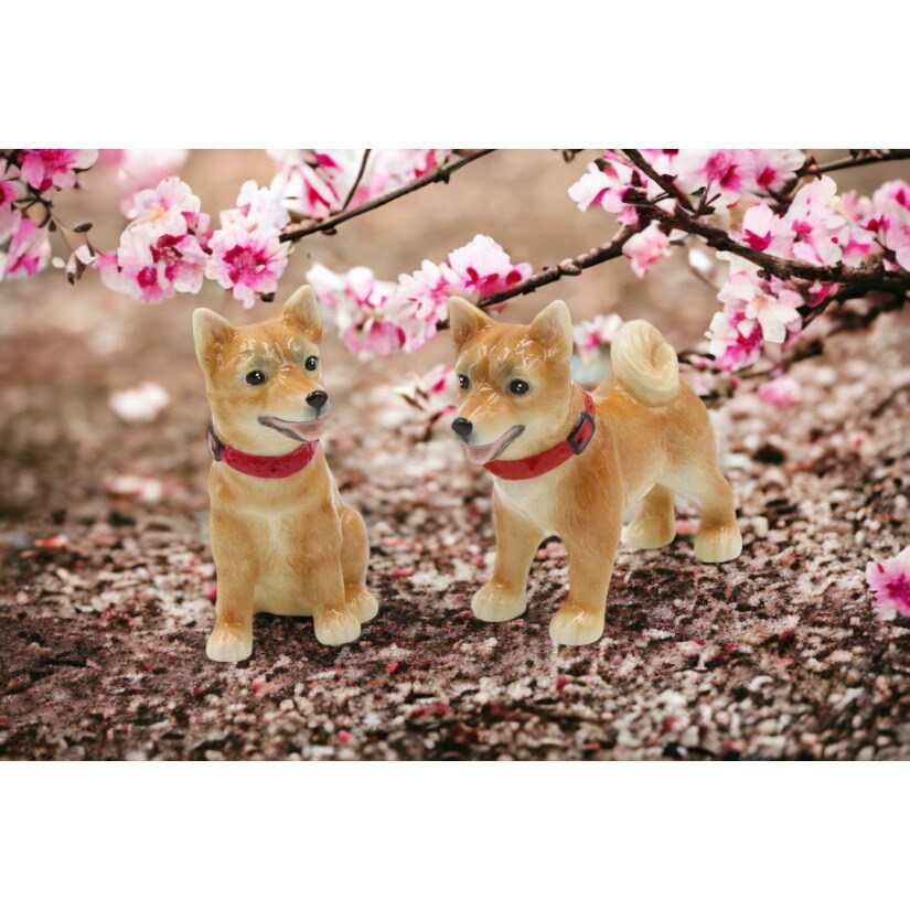 Ceramic Shiba Inu Salt And Pepper Shakers, The Doge, Home Decor for ...