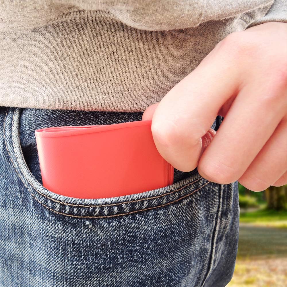 StoreSMART - Two Pocket Plastic Card Caddy – Receipt Holder - (CC1423-2 ...