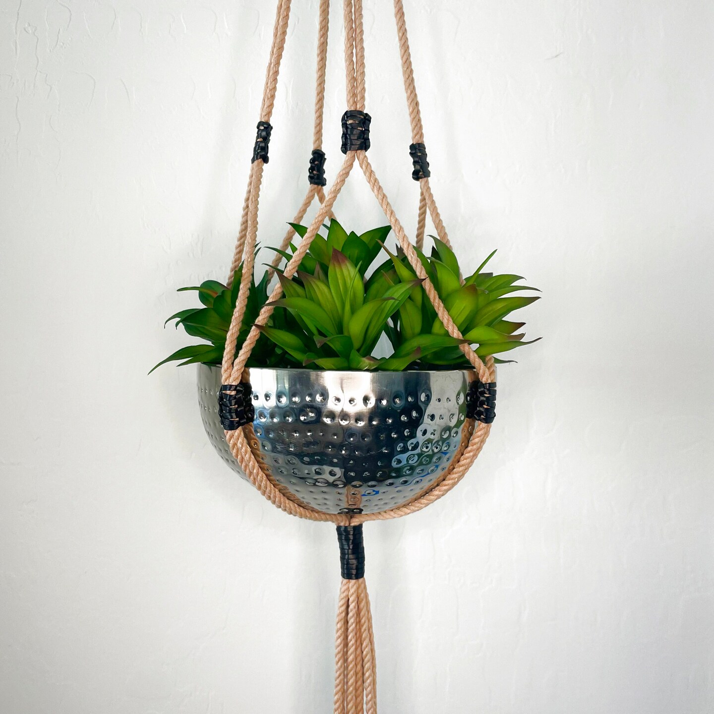 Ocotillo Plant Hanger - Sand and Black | MakerPlace by Michaels