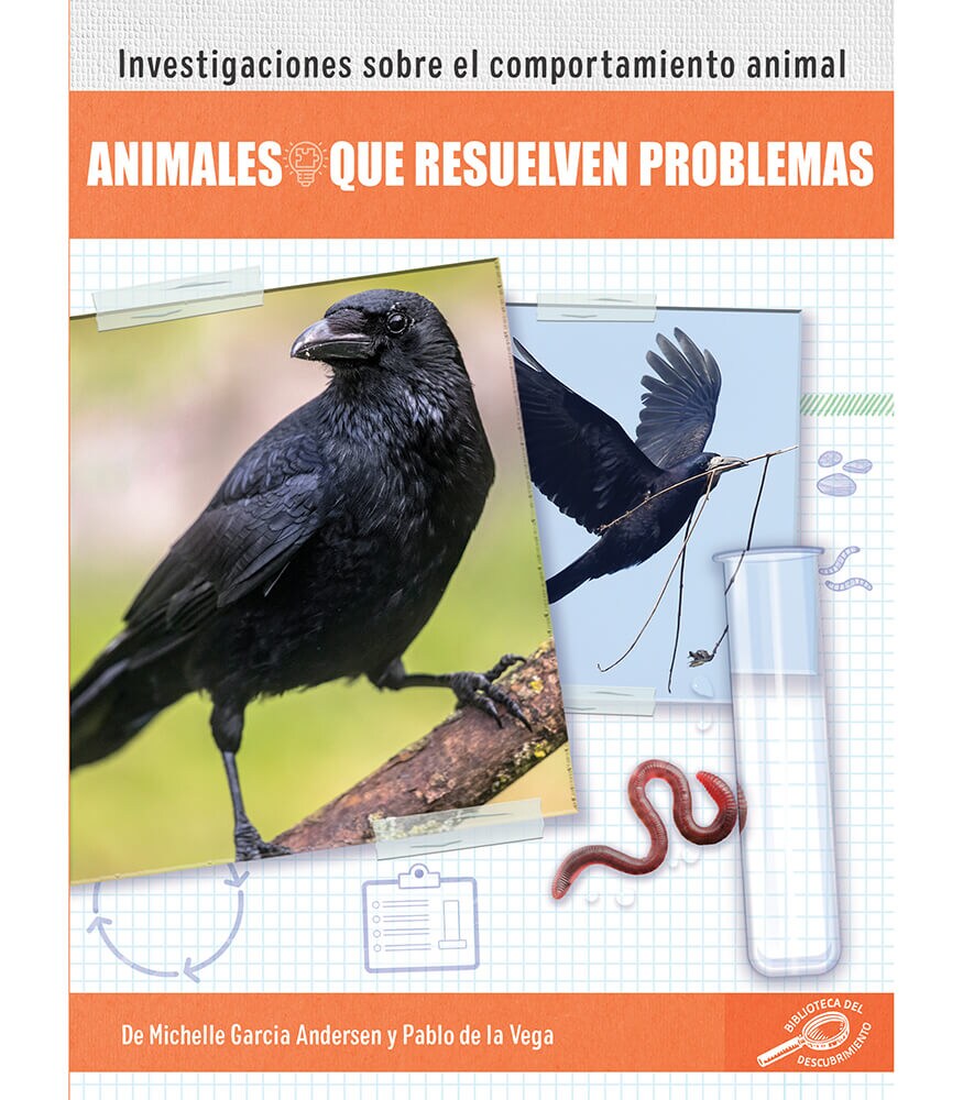 Rourke Educational Media Animales que resuelven problemas (Animal ...