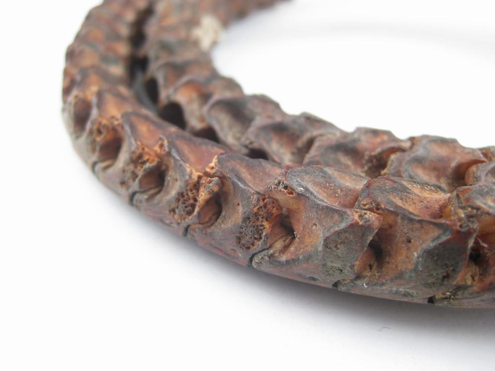 TheBeadChest Real Snake Vertebrae Beads from Africa Large 16mm Nigeria ...