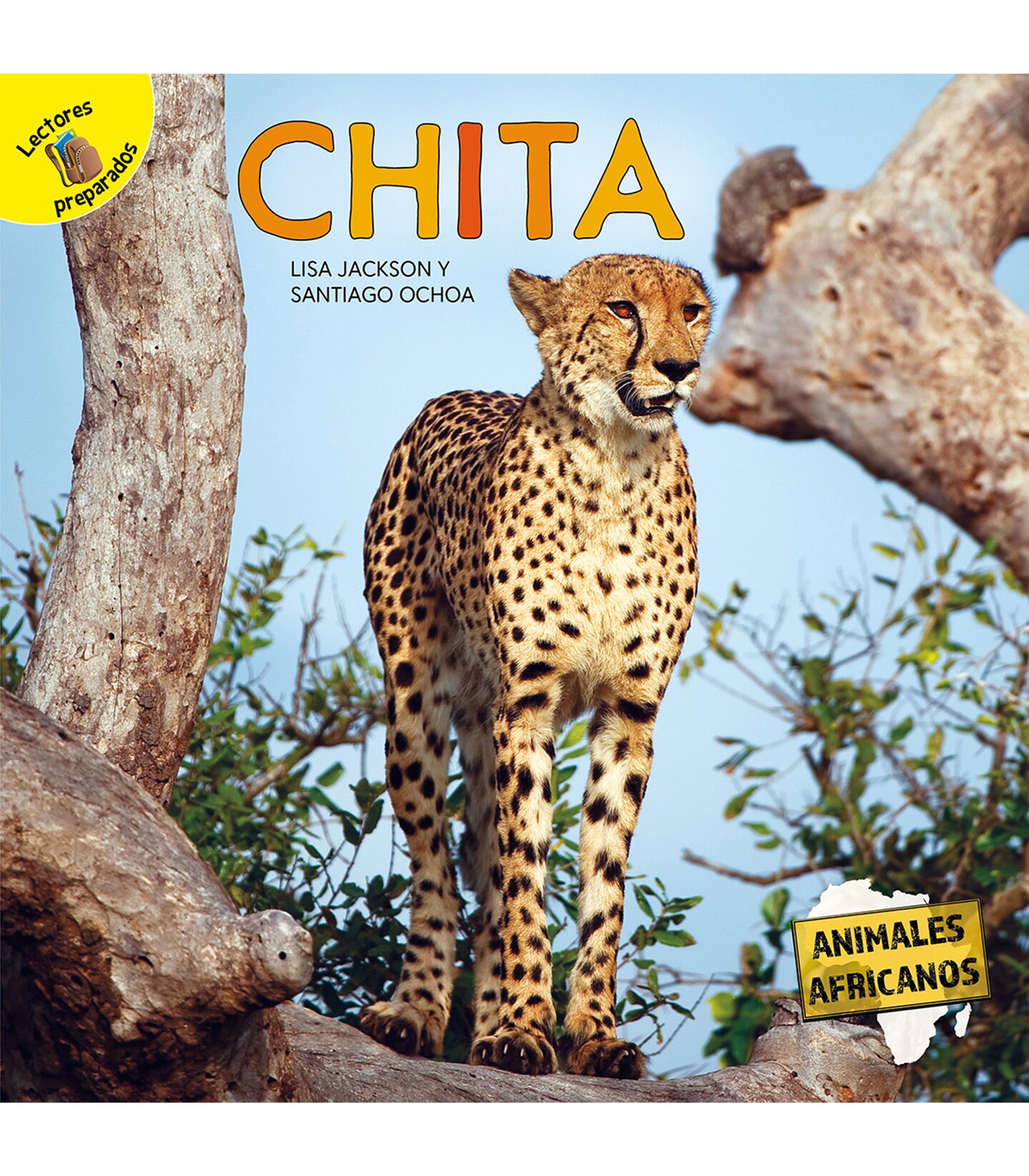 Cheetah: Chita – Rourke Spanish Reader, Grades PK–2 | Michaels