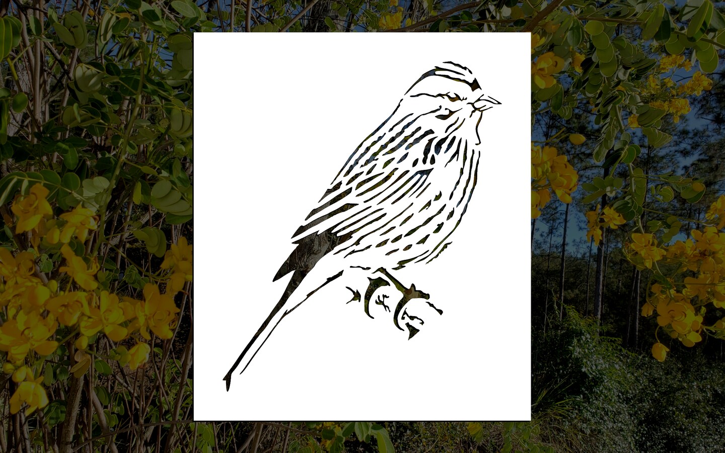 Yellowhammer Bird Reusable Stencil (Many Sizes) | MakerPlace by Michaels