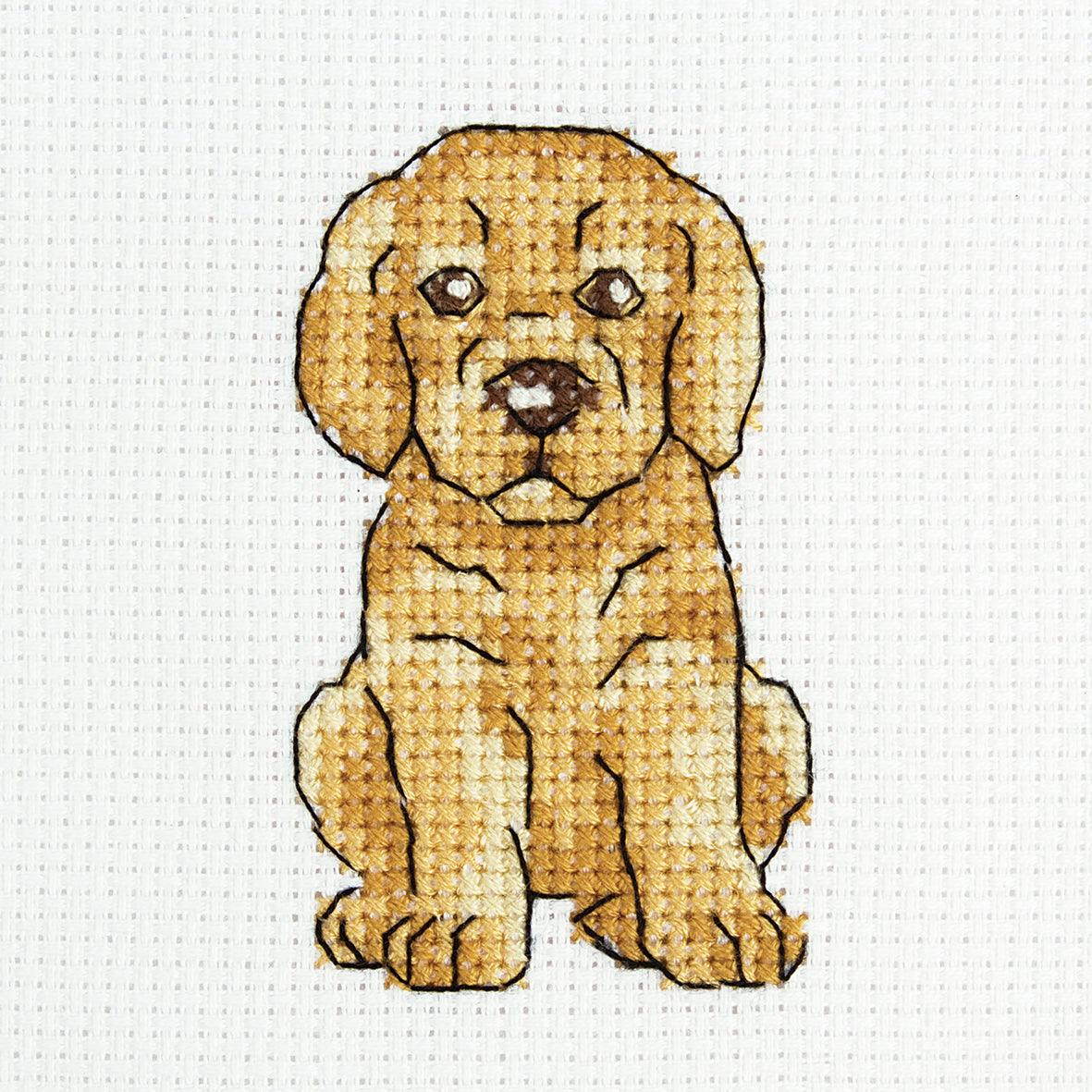 Clumsy Jackie H241 Counted Cross Stitch Kit | Michaels