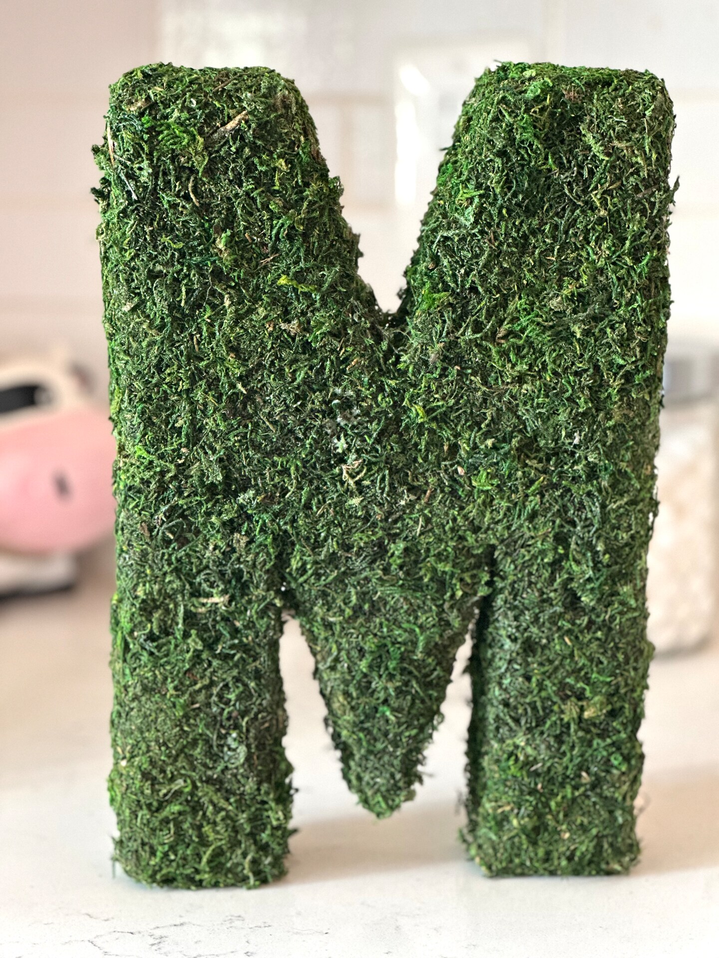 12” Moss Letter Wedding Baby Shower Woodland Party Enchanted Forest ...