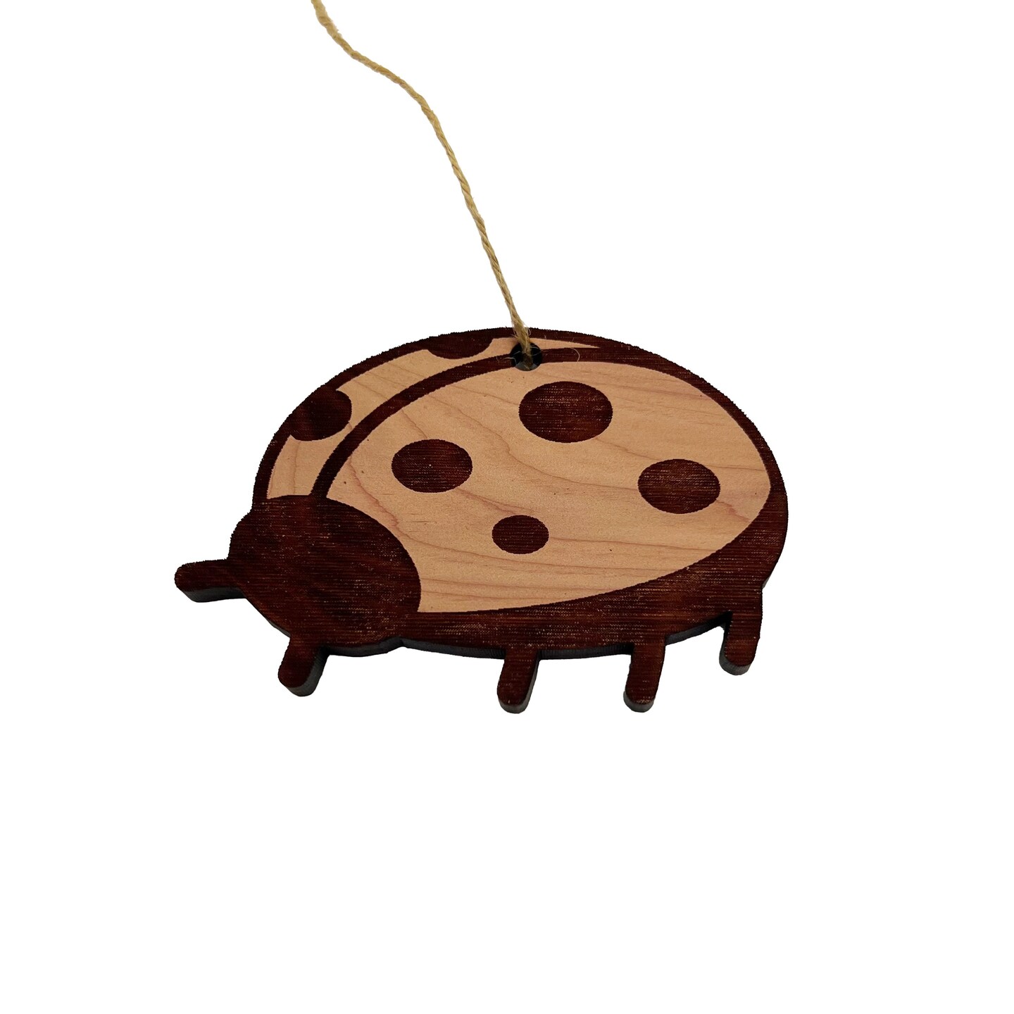 Ladybug - Cedar Ornament | Michaels