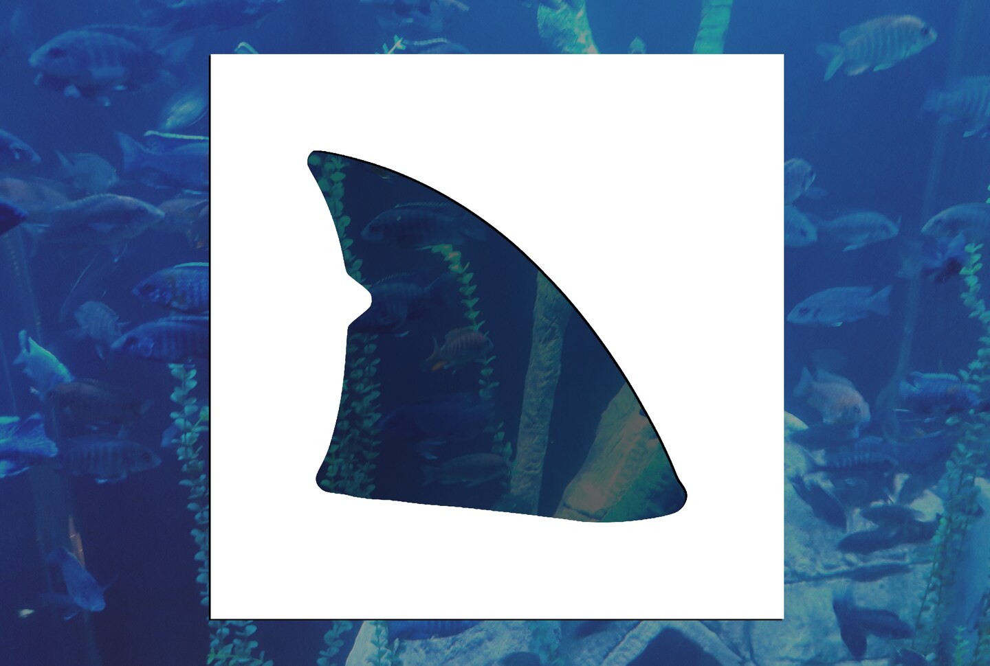 Shark Fin Reusable Stencil (Many Sizes) | MakerPlace by Michaels