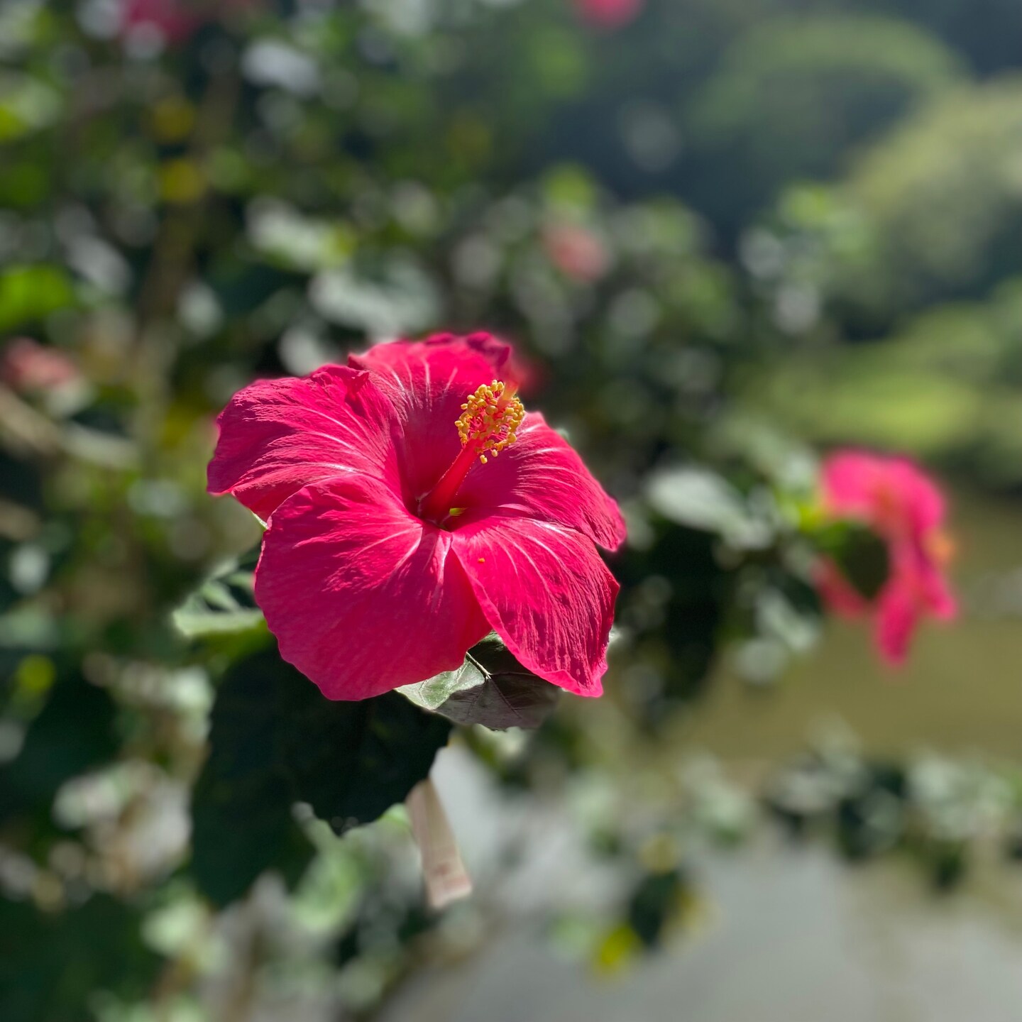 Object Maker | Storefront | Michaels