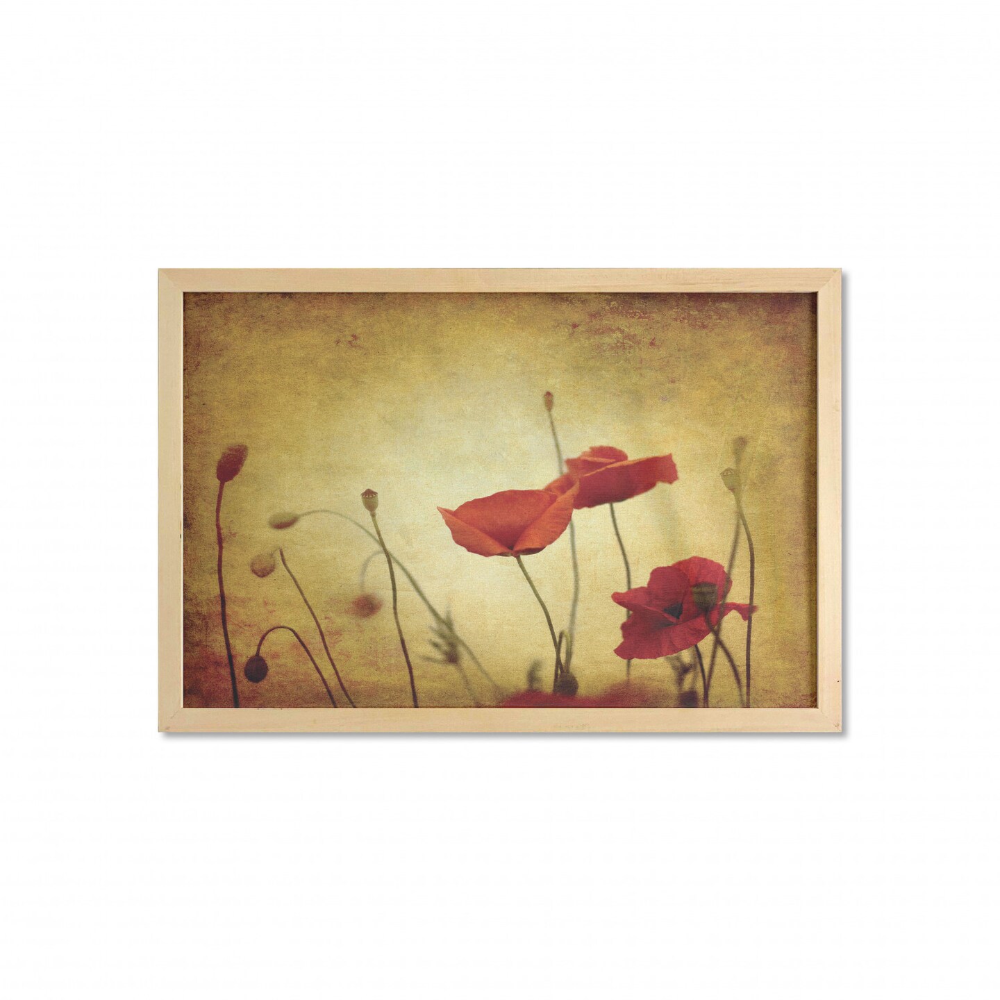 Ambesonne Poppy Flower Wall Art with Frame, Flower and Buds on Ambient ...