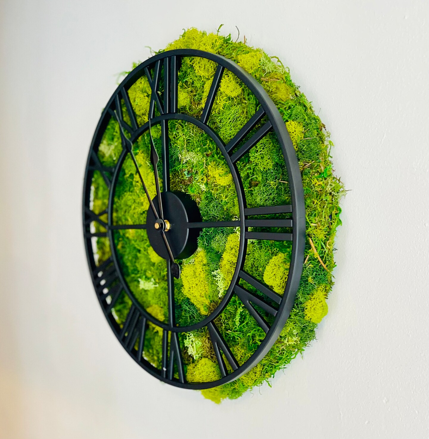 Preserved Moss Wall Clock, Roman Numeral Clock, Gold Wall Accent, Clock ...