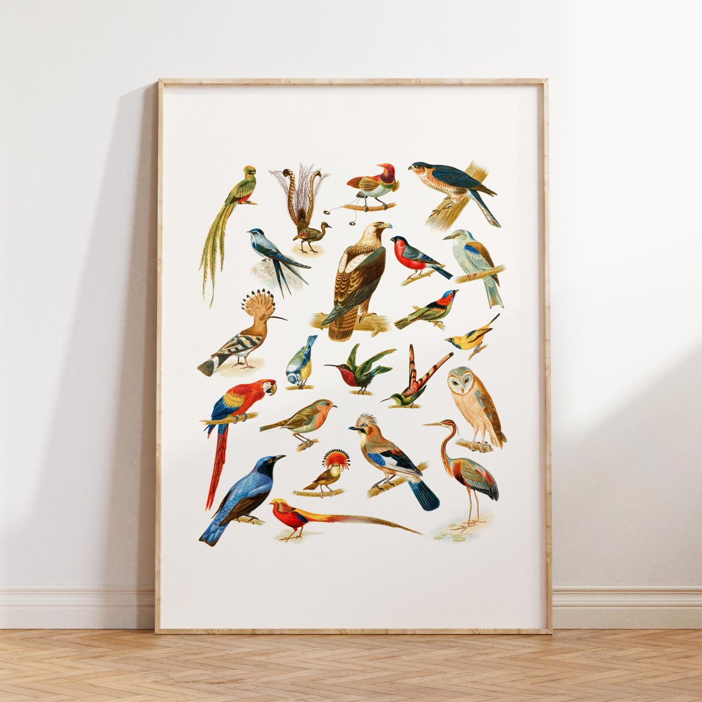 Audobon Bird Prints Vintage Poster Bird Wall Art Bird Poster Aesthetic ...