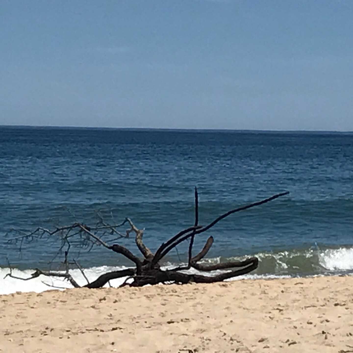 MrReese | Storefront | Michaels