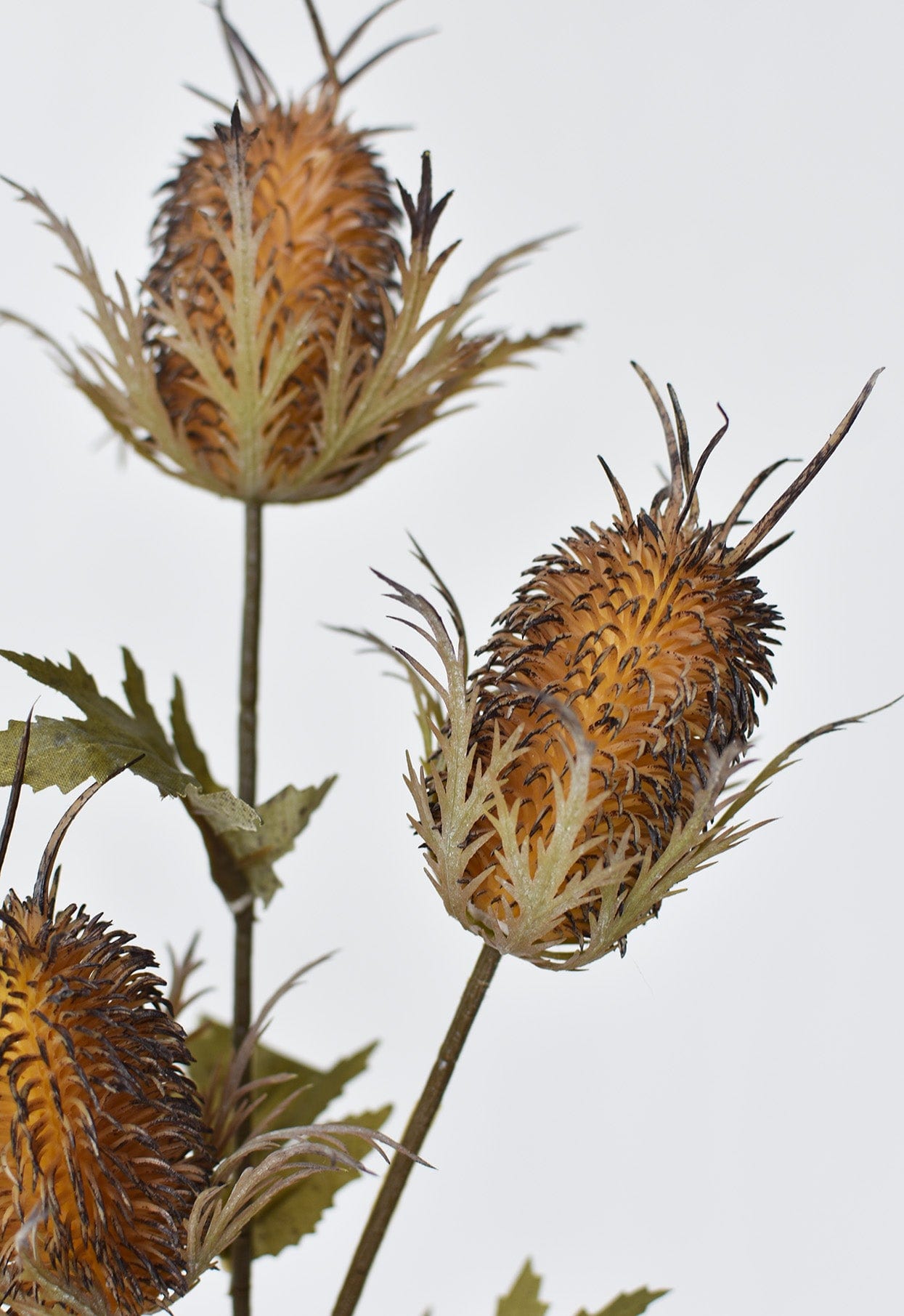 26" Faux Brown Thistle Stem | Michaels