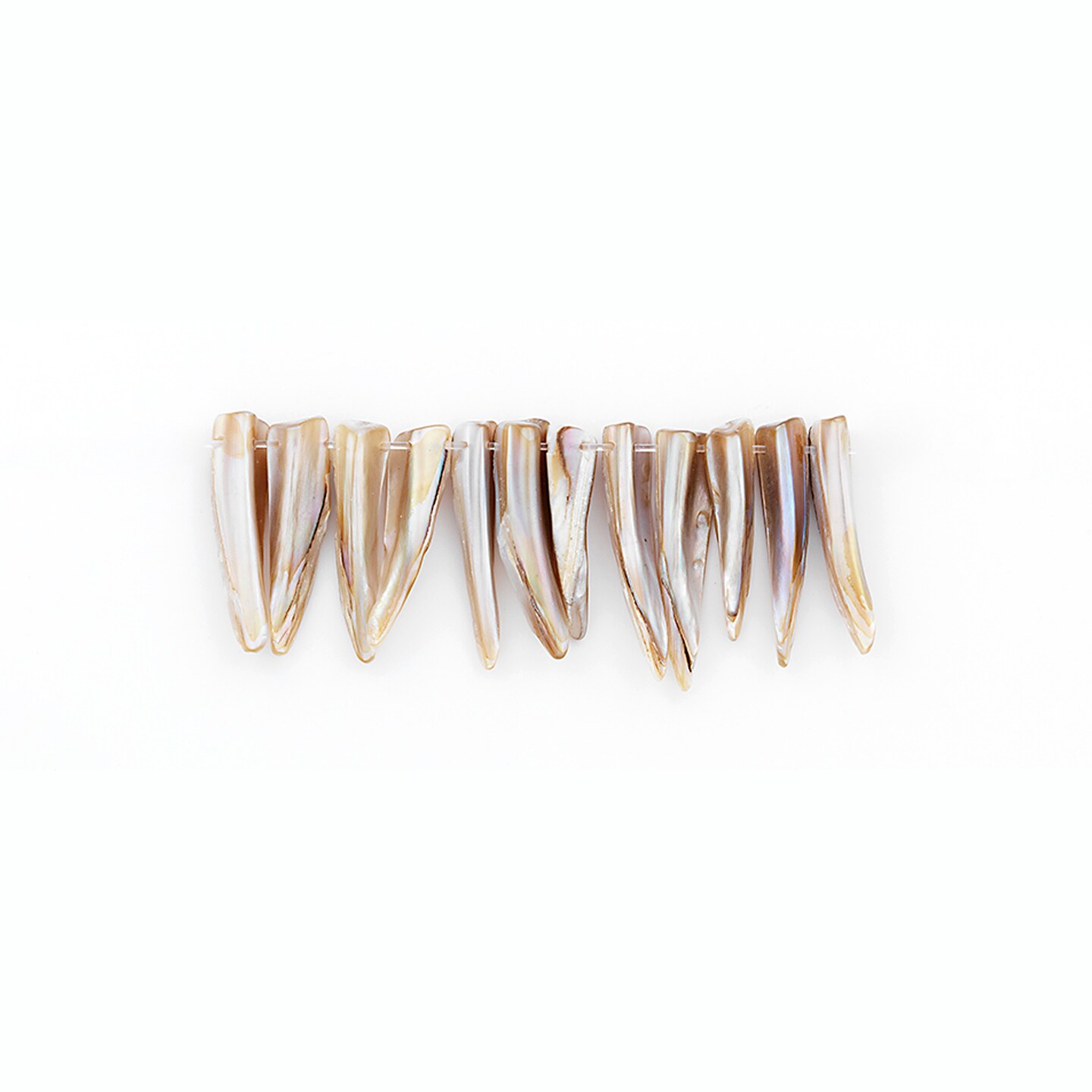 Sea Shell Spike Beads Hand Crafted Natural PK/12 | Michaels