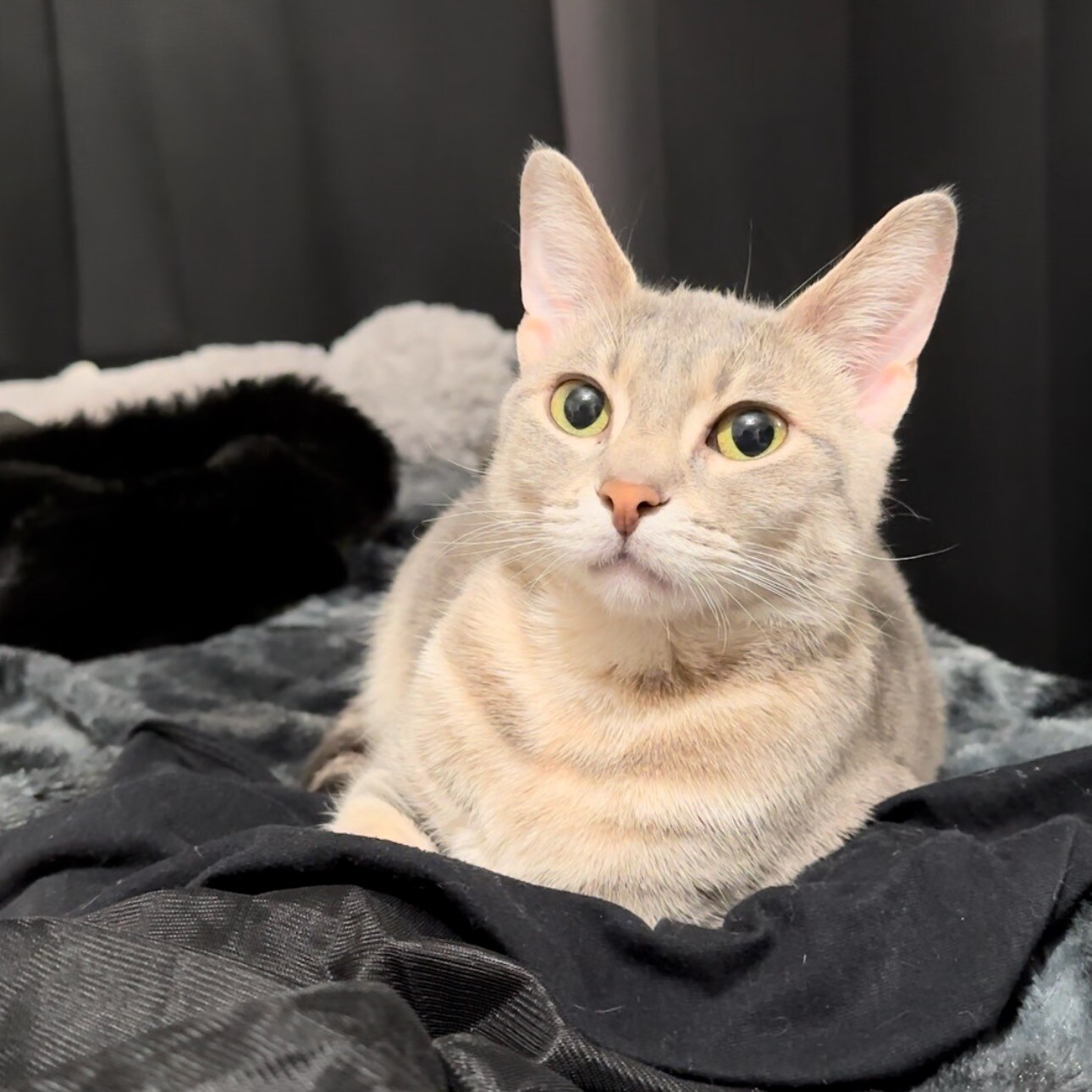 Grandmasgoodies | Storefront | Michaels