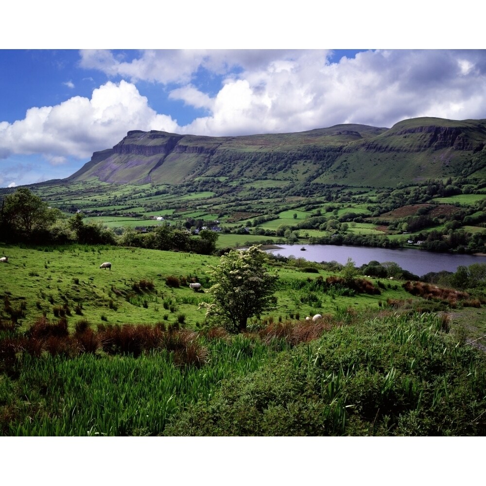 Panoramic View Of A Landscape County Leitrim Republic Of Ireland By The ...