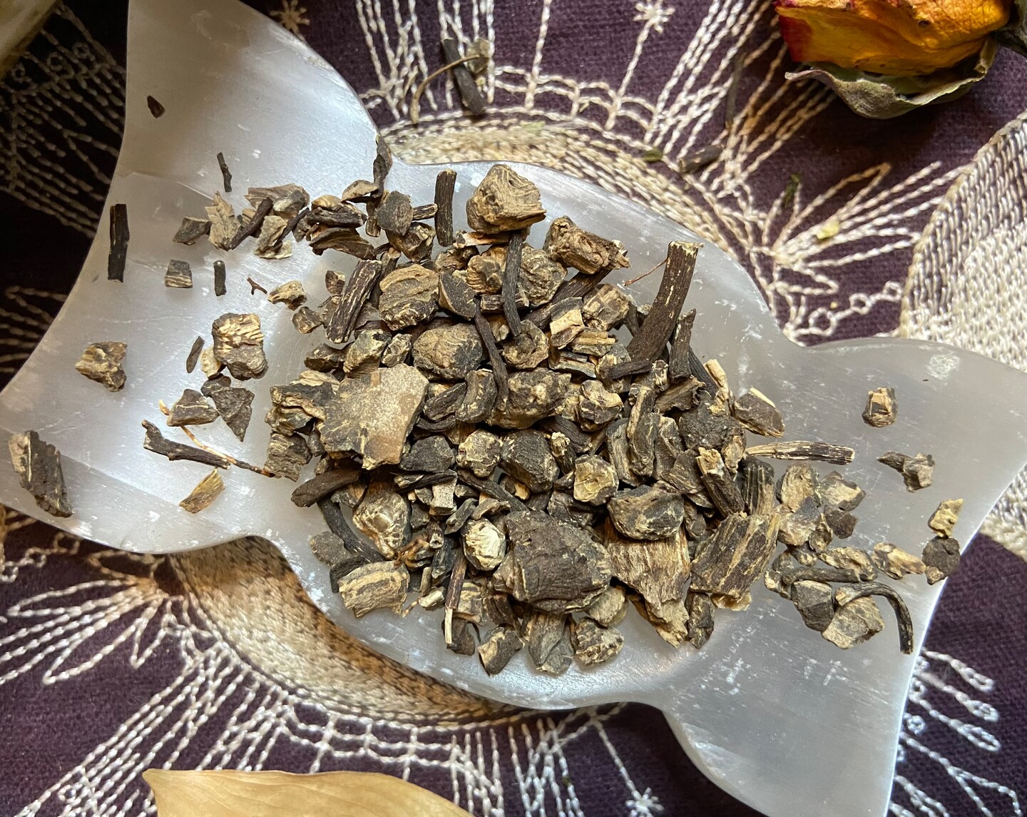 Black Snakeroot, Black Cohosh Root, Love, Courage, Potency, Protection ...