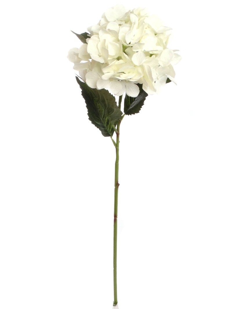 12-Pack: Cream Hydrangea Stem with Lifelike Silk Foliage by Floral Home ...