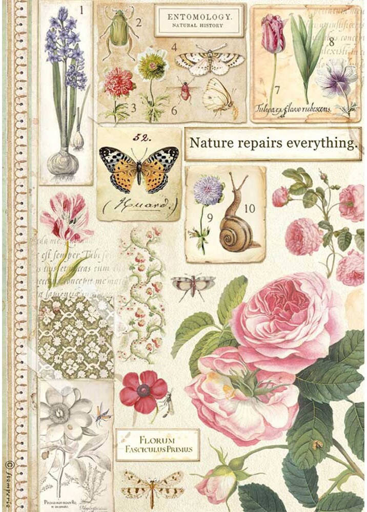 Stamperia Rice Paper Sheet A4-Botany | Michaels