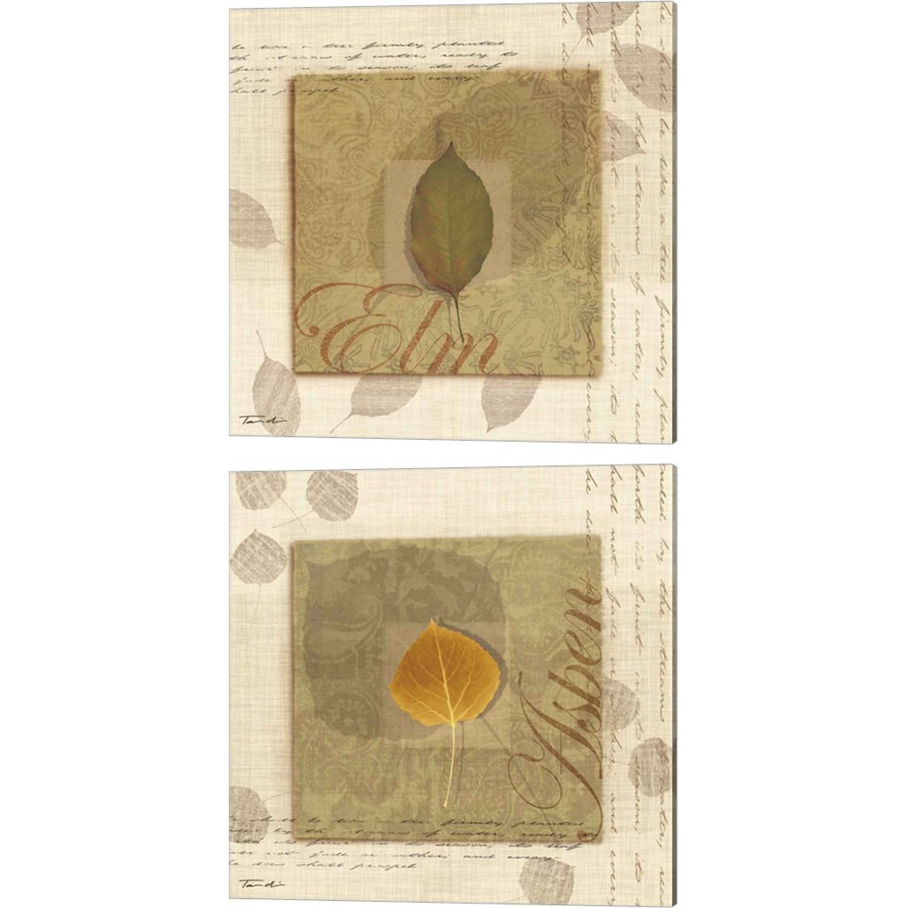 Elm & Aspen by Tandi Venter 14" x 14" Canvas Wall Art (Set of 2) | Michaels
