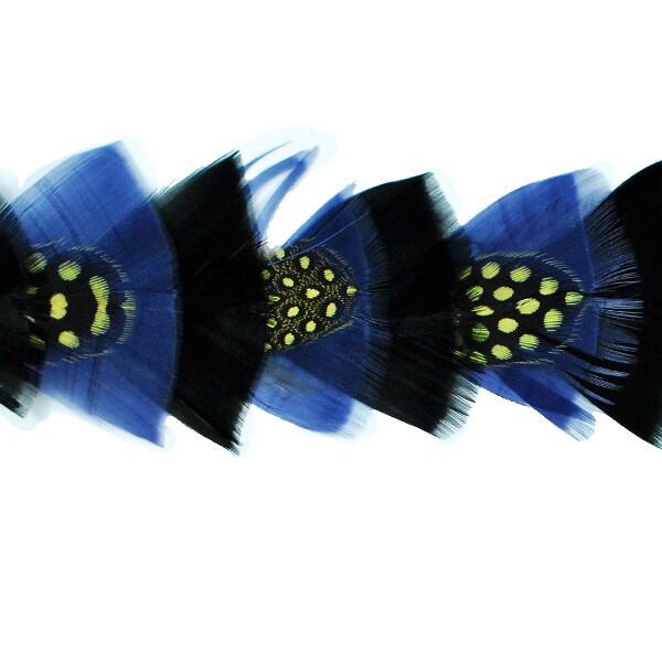 2" Feather Trim Band Pack of 36" | Michaels