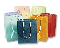 Gift Bag Medium Assorted Pastel (Package of 20) | Michaels