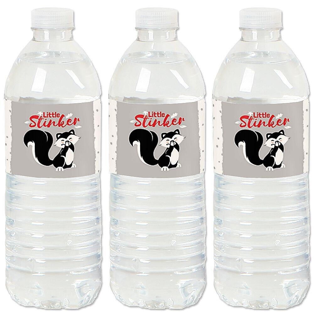 Big Dot of Happiness Little Stinker - Woodland Skunk Baby Shower or ...