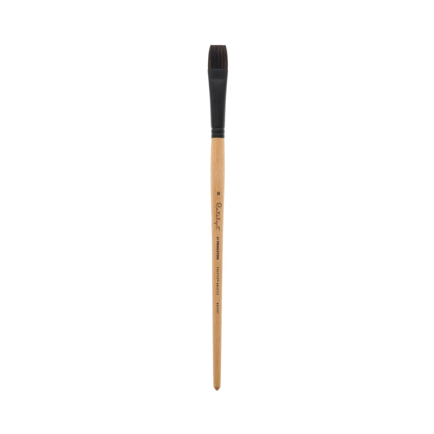 Princeton Brush Catalyst Polytip Long Handle Bristle Brush, Bright, 10 ...