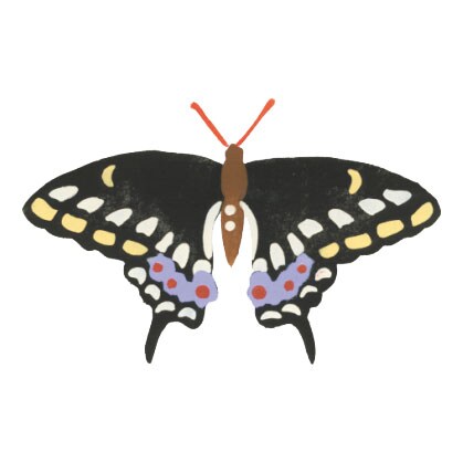 Black Swallowtail Butterfly Wall Stencil | 2686 by Designer Stencils ...