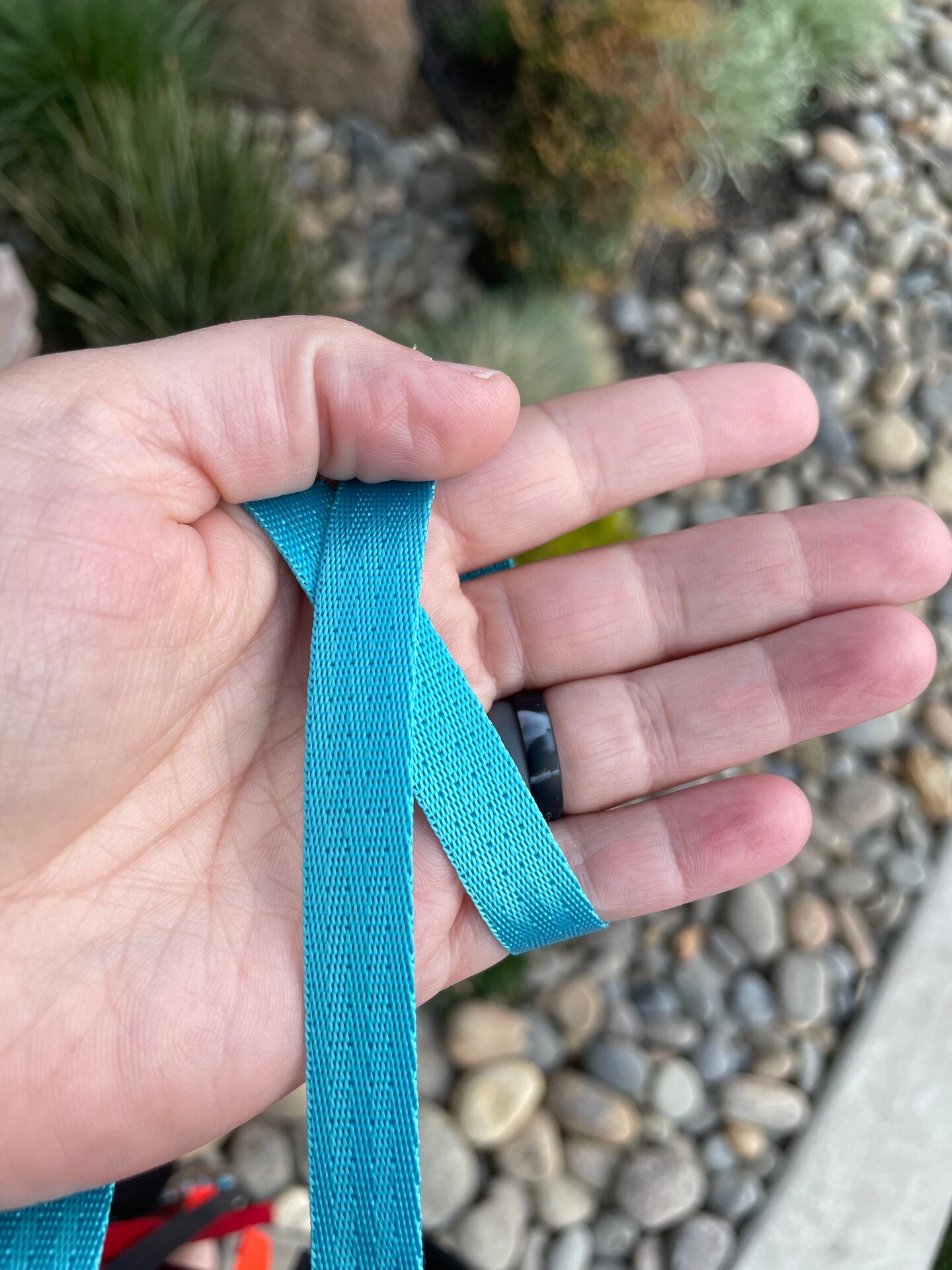 Turquoise 1/2” Seatbelt Webbing | Michaels