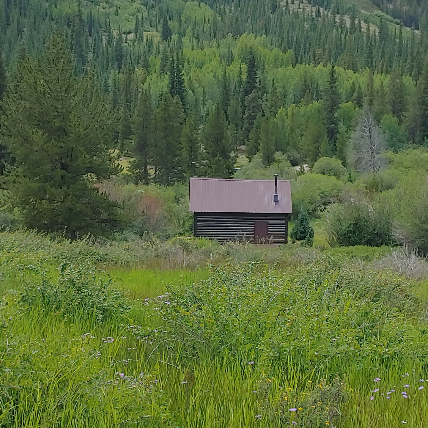 Mystical Mountain | Storefront | Michaels