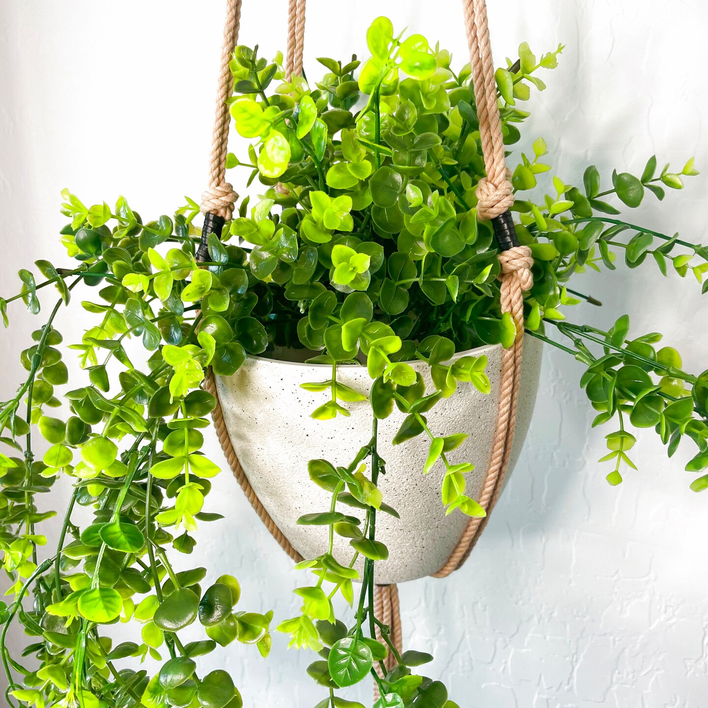 Saguaro Plant Hanger - Sand and Black | MakerPlace by Michaels