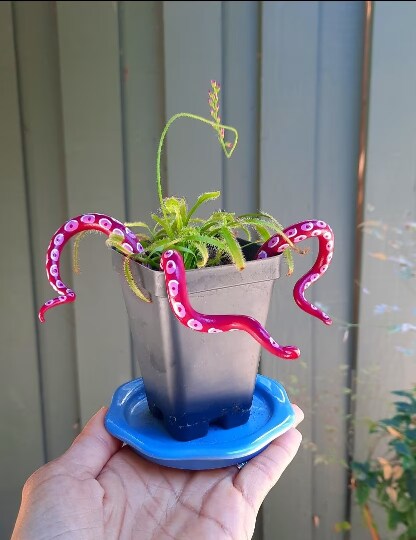 Tentacle Plant, Plant stake, Octopus Tentacle, Octopus Decor, Tentacle ...