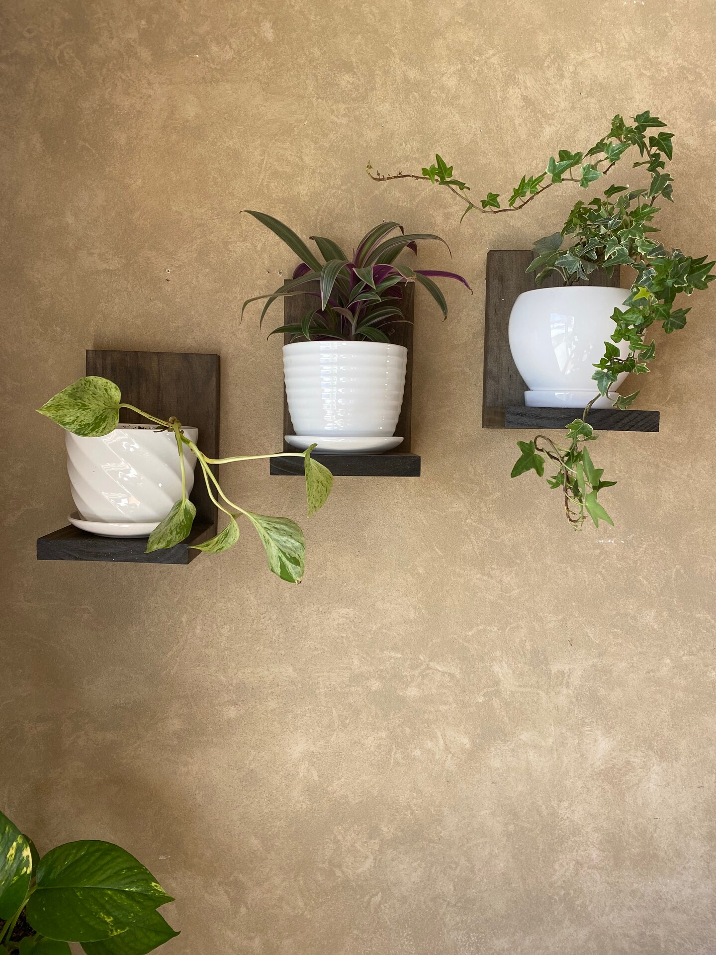 Plant Shelf, wall shelf, floating shelf, cat proof shelf, plant stand ...